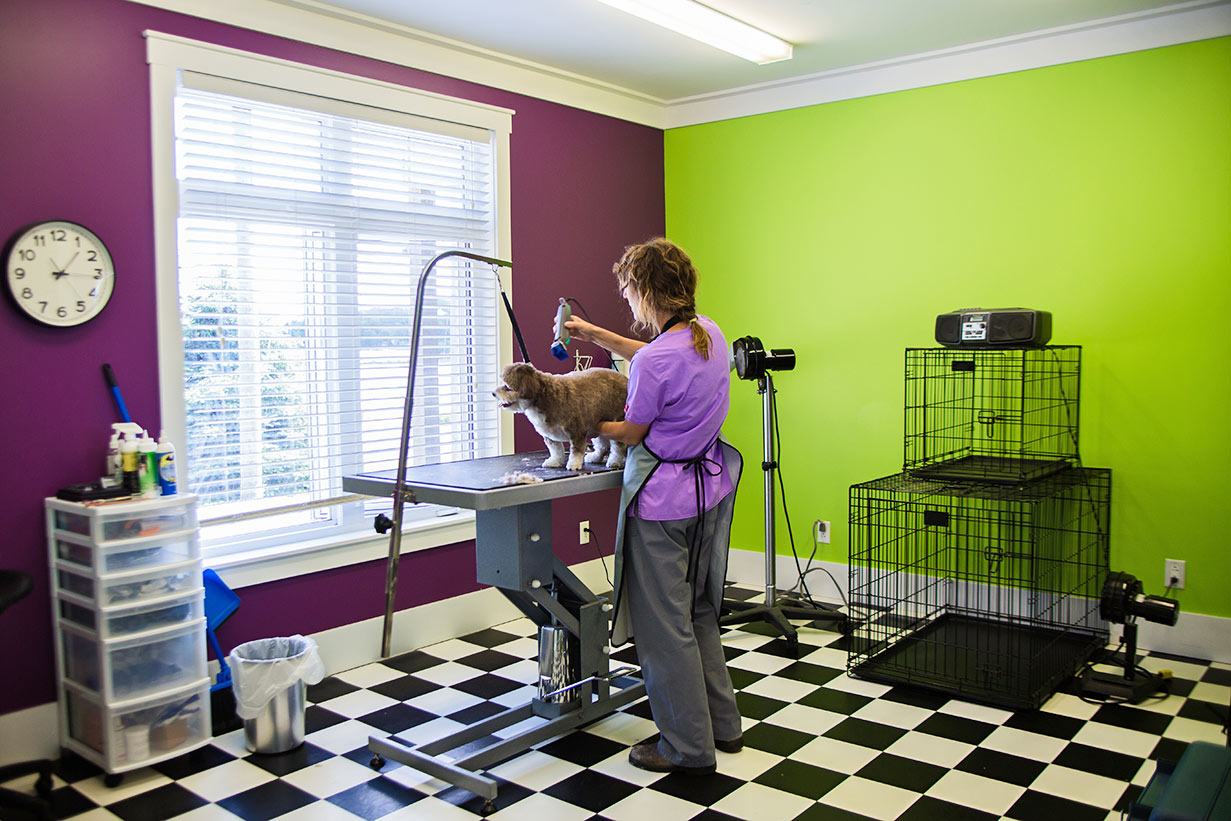 Photo Gallery | JCL Construction Inc.